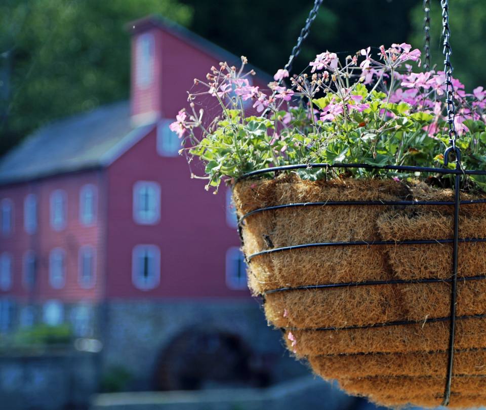 Mark Pfenning's Instagram, Twitter & Facebook on IDCrawl